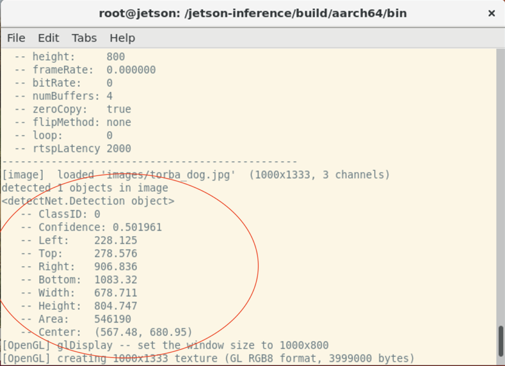 Jetson Nano Object Detection And Image Classification Nerc Constructing A Digital Environment