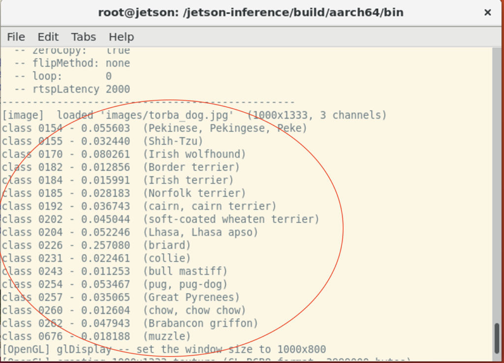 Jetson Nano – Object Detection and Image Classification – NERC ... Jetson Nano – Object Detection and Image Classification – NERC ...